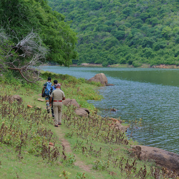 Trails - Trek Tamil Nadu
