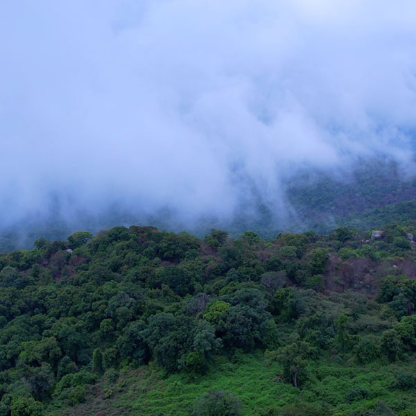 Yelagiri - Swamimalai - Trek Tamil Nadu